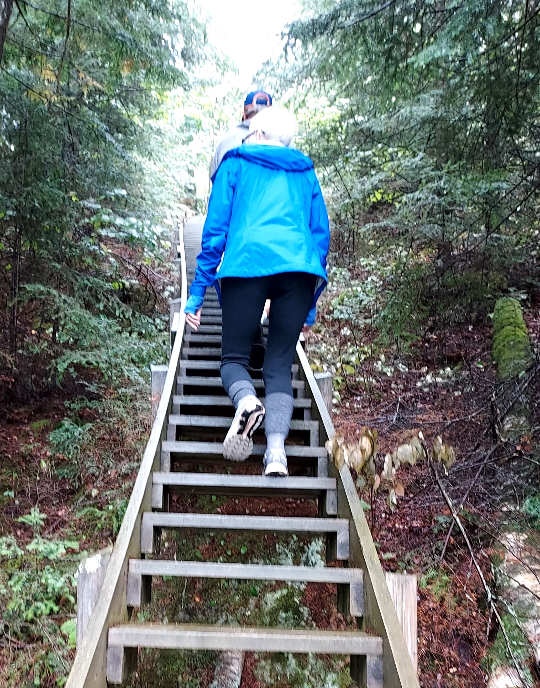 Coaching Services – © 2023 Move to Change Wellness Coaching, LLC. All ...